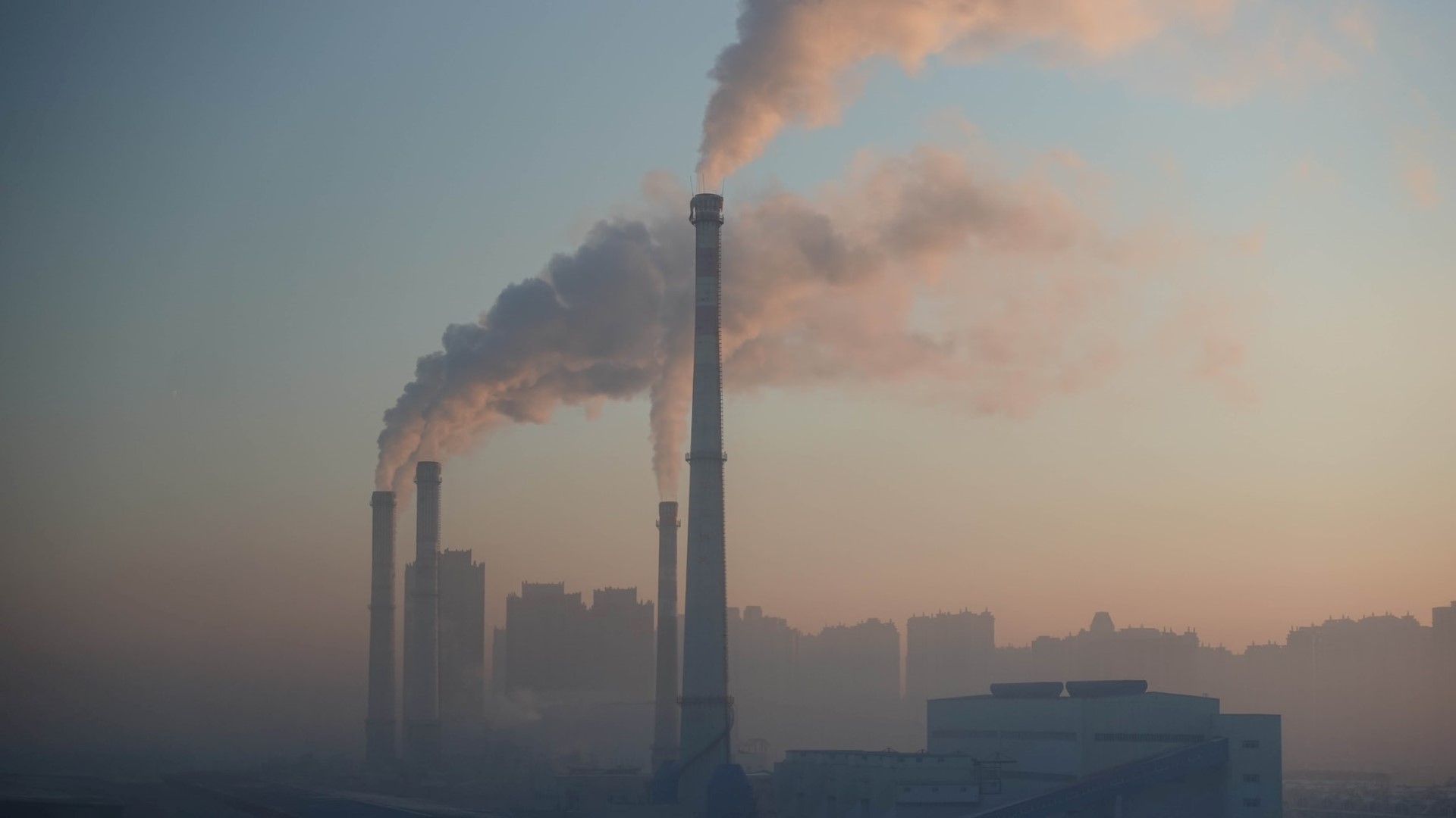 Decarbonization in China: Opportunities and Challenges for Businesses ...