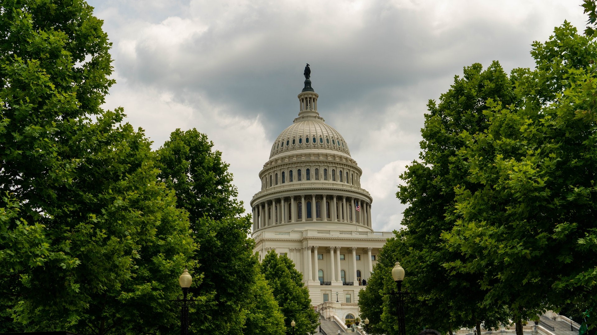 Initial Work of House Select Committee on the CCP Zooms in on Human ...
