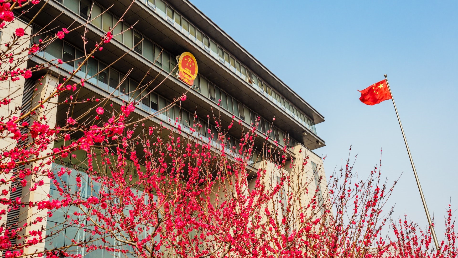 China’s Central Science and Technology Commission Takes the Wheel - The ...